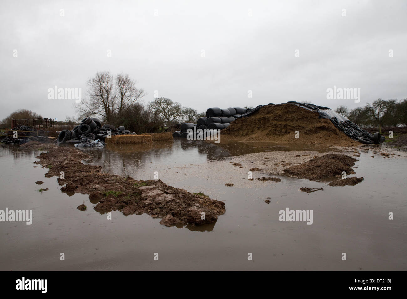 6. Februar 2014. Die Evakuierung der West-Yeo-Farm in Moorlandschaften ...
