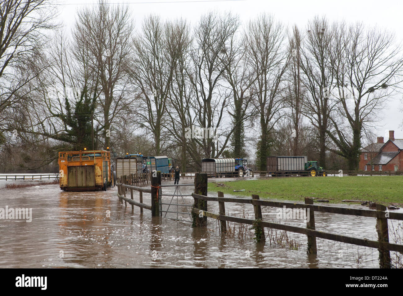 6. Februar 2014. Die Evakuierung der West-Yeo-Farm in Moorlandschaften ...