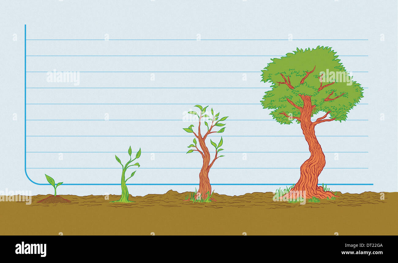 Baum Diagramm Stockfotos & Baum Diagramm Bilder - Alamy