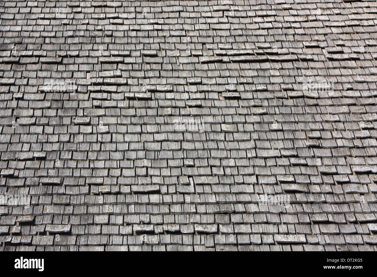 Schindel e -Fotos und -Bildmaterial in hoher Auflösung – Alamy