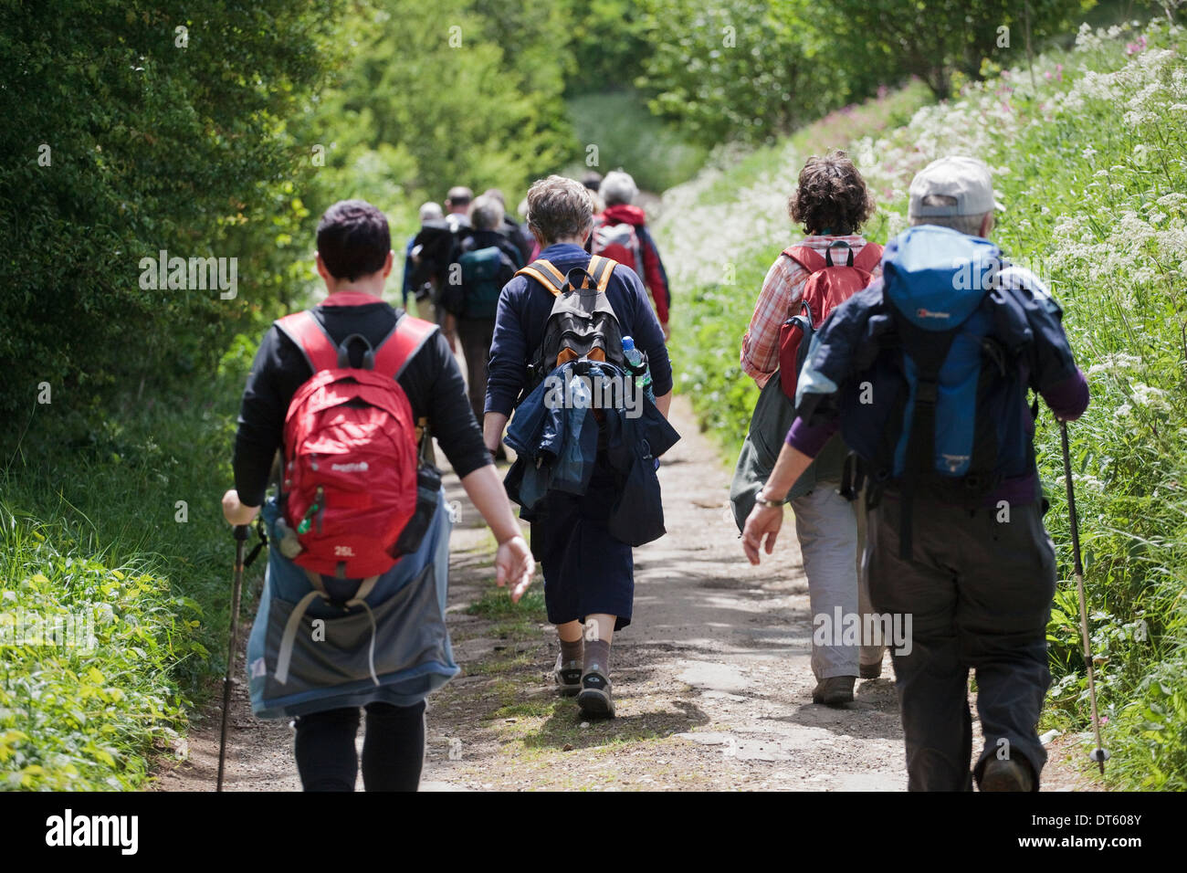 Wanderer auf diese weise -Fotos und -Bildmaterial in hoher Auflösung ...