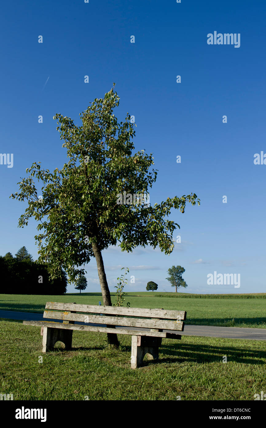 Baumparkbank deutsch deutschland Stockfotos und -bilder Kaufen - Alamy