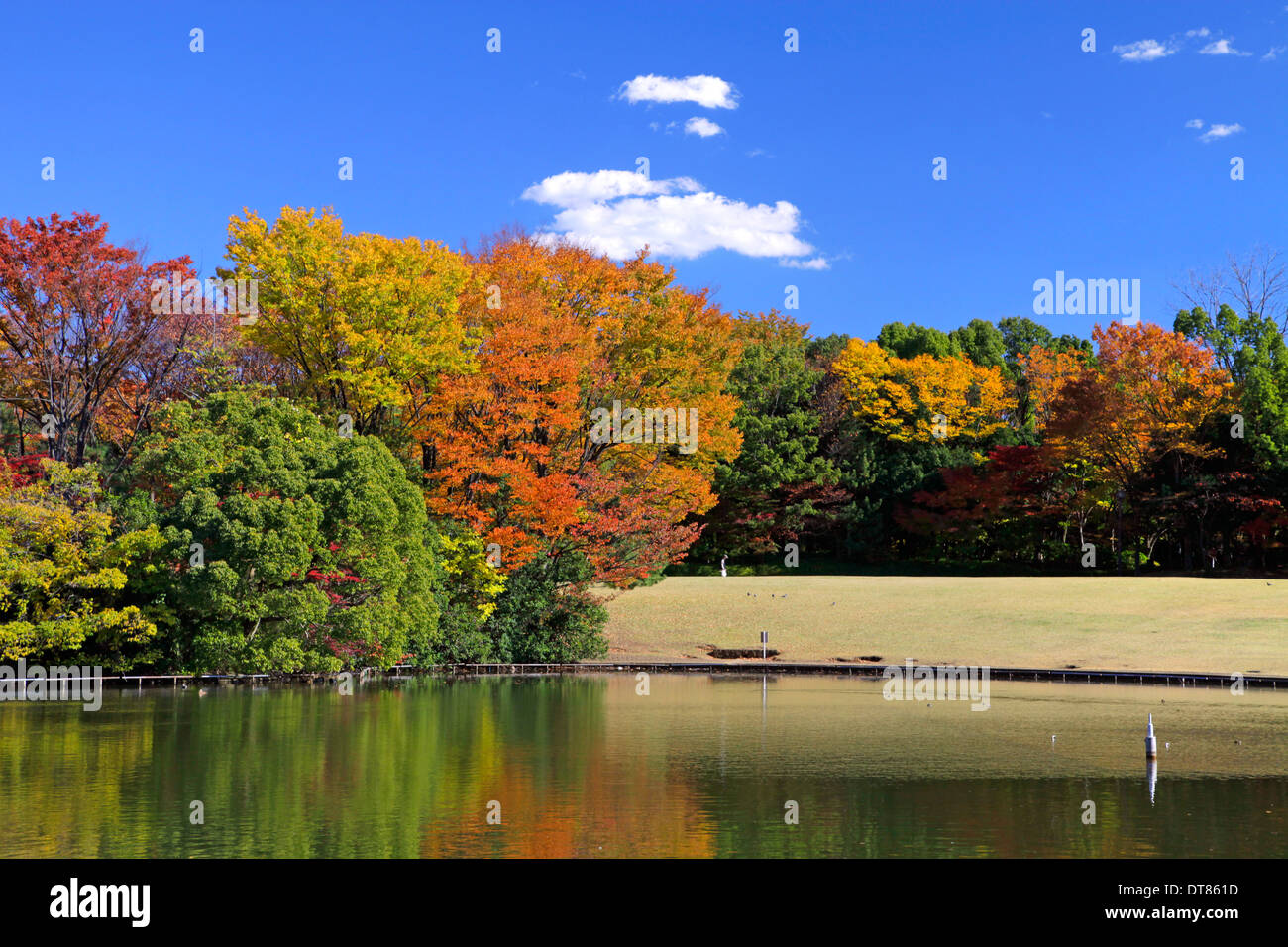 Chuo park -Fotos und -Bildmaterial in hoher Auflösung – Alamy