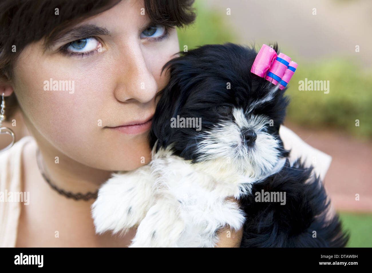 Mädchen mit schwarzen und weißen Shih Tzu Welpen mit Bogen auf Kopf ... Mädchen mit schwarzen und weißen Shih Tzu Welpen mit Bogen auf Kopf ...