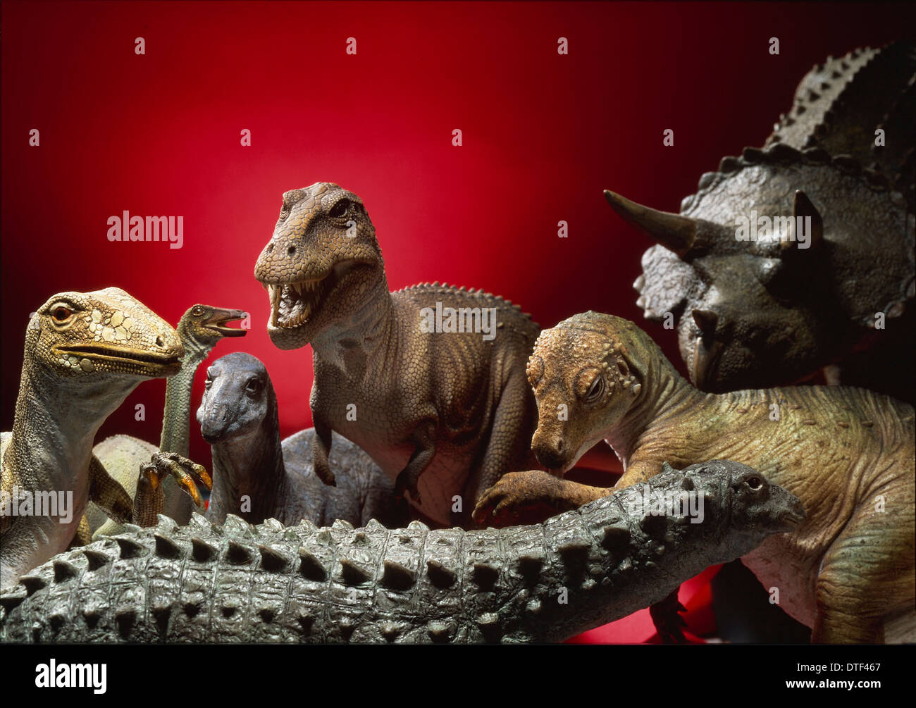 Gruppe ornithopoda Stockfotos und -bilder Kaufen - Alamy