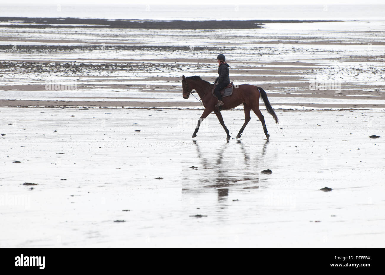 Reiter und Pferd Am Strand Stockfotos und -bilder Kaufen - Alamy