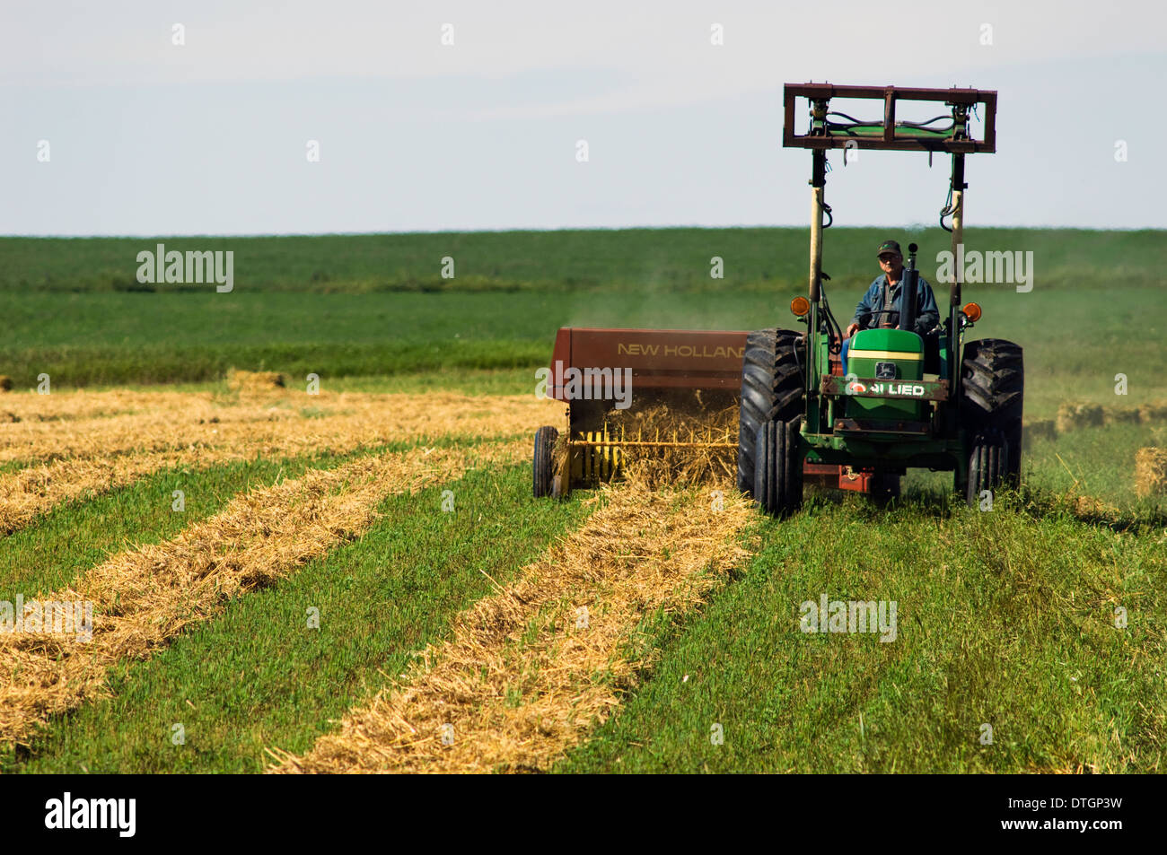 Farmer baling hay in farm -Fotos und -Bildmaterial in hoher Auflösung ...