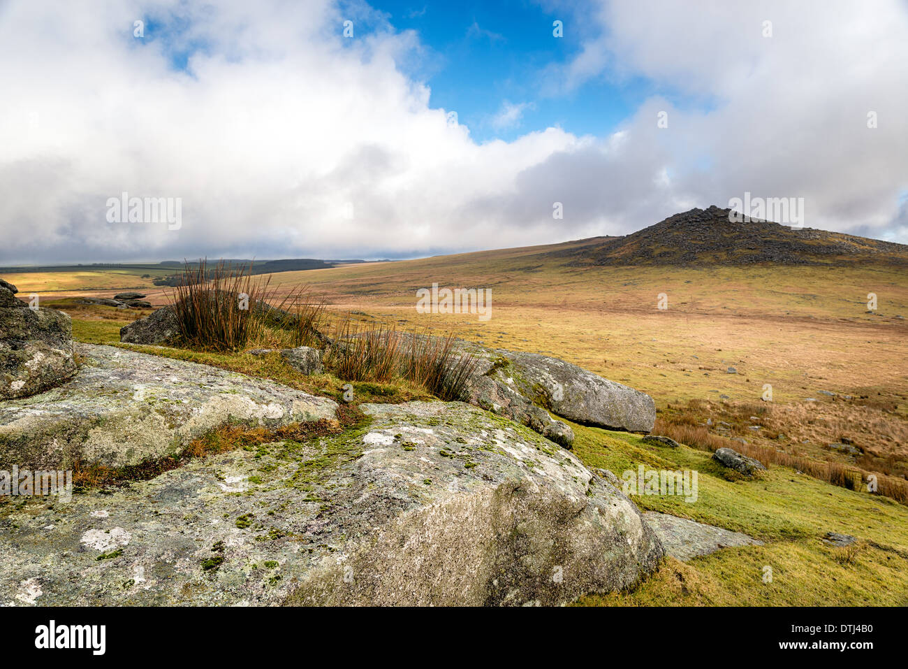 Cornish Moore Stockfotos und -bilder Kaufen - Alamy