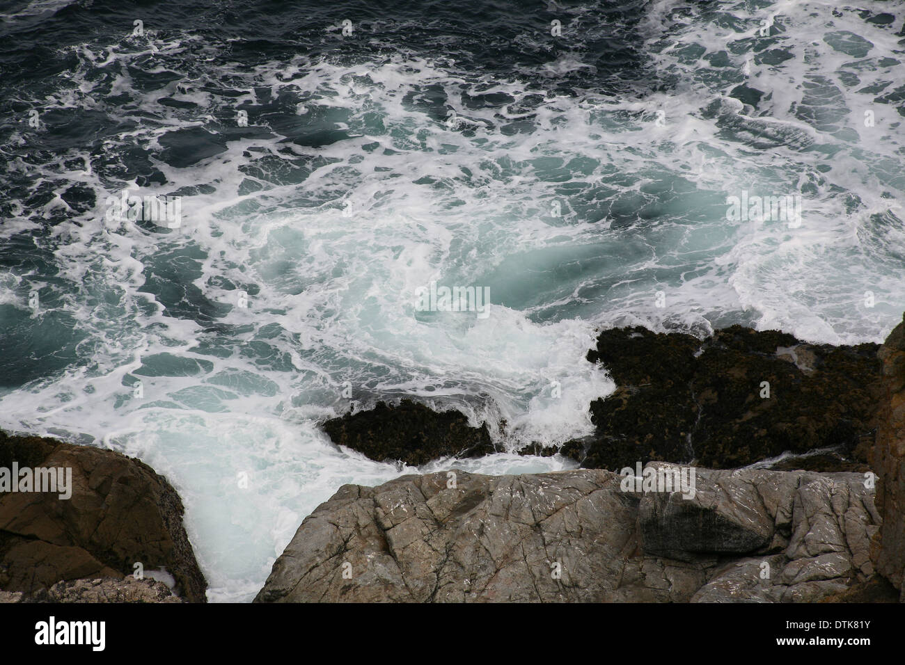 Ocean foam -Fotos und -Bildmaterial in hoher Auflösung – Alamy