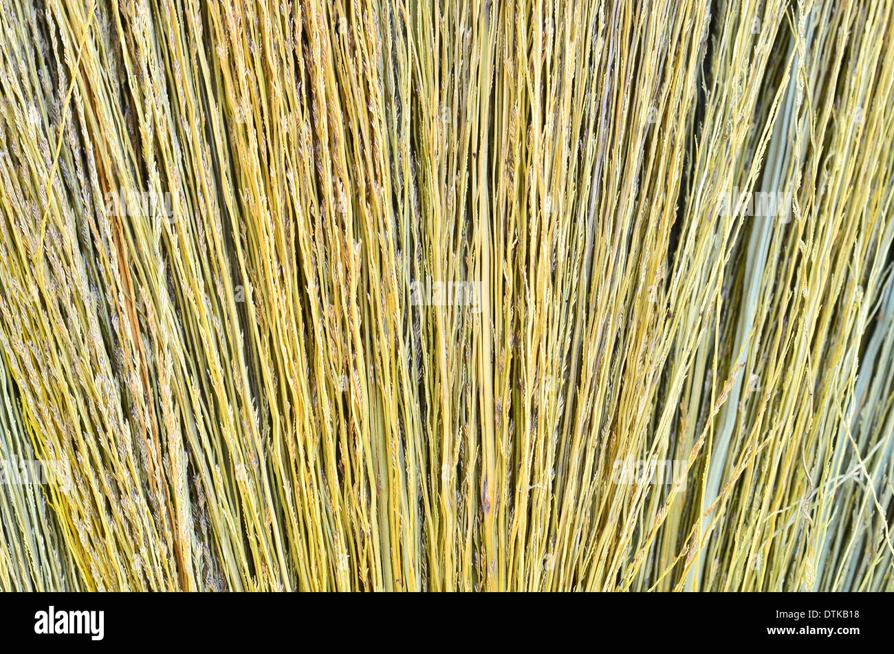 Besen vertikal -Fotos und -Bildmaterial in hoher Auflösung – Alamy