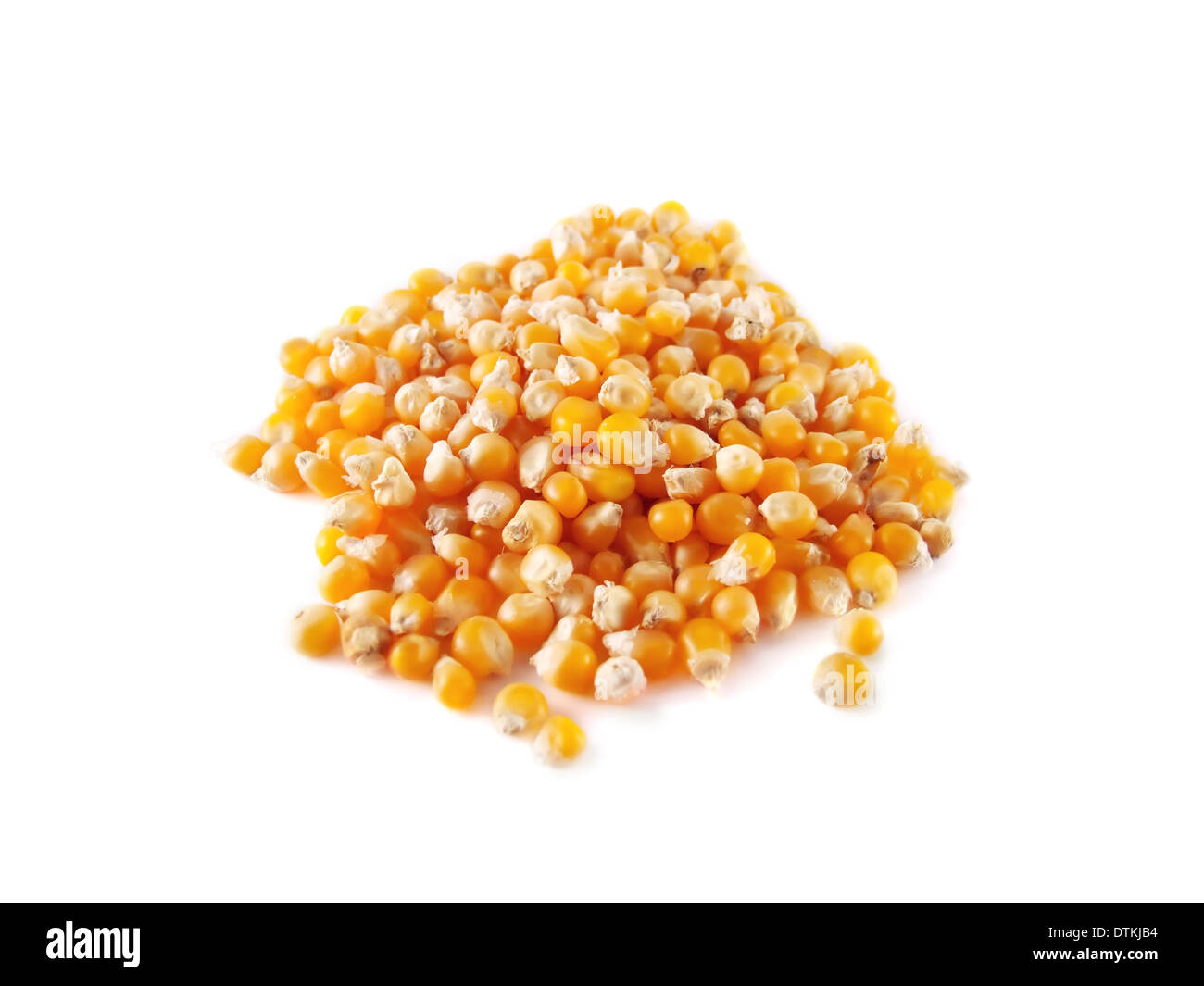 Gerste mais getreide getreide Ausgeschnittene Stockfotos und -bilder ...