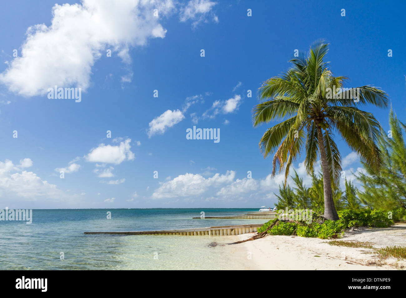 Grand cayman -Fotos und -Bildmaterial in hoher Auflösung – Alamy