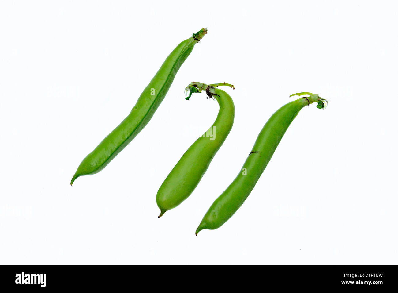 Faba bean -Fotos und -Bildmaterial in hoher Auflösung – Alamy