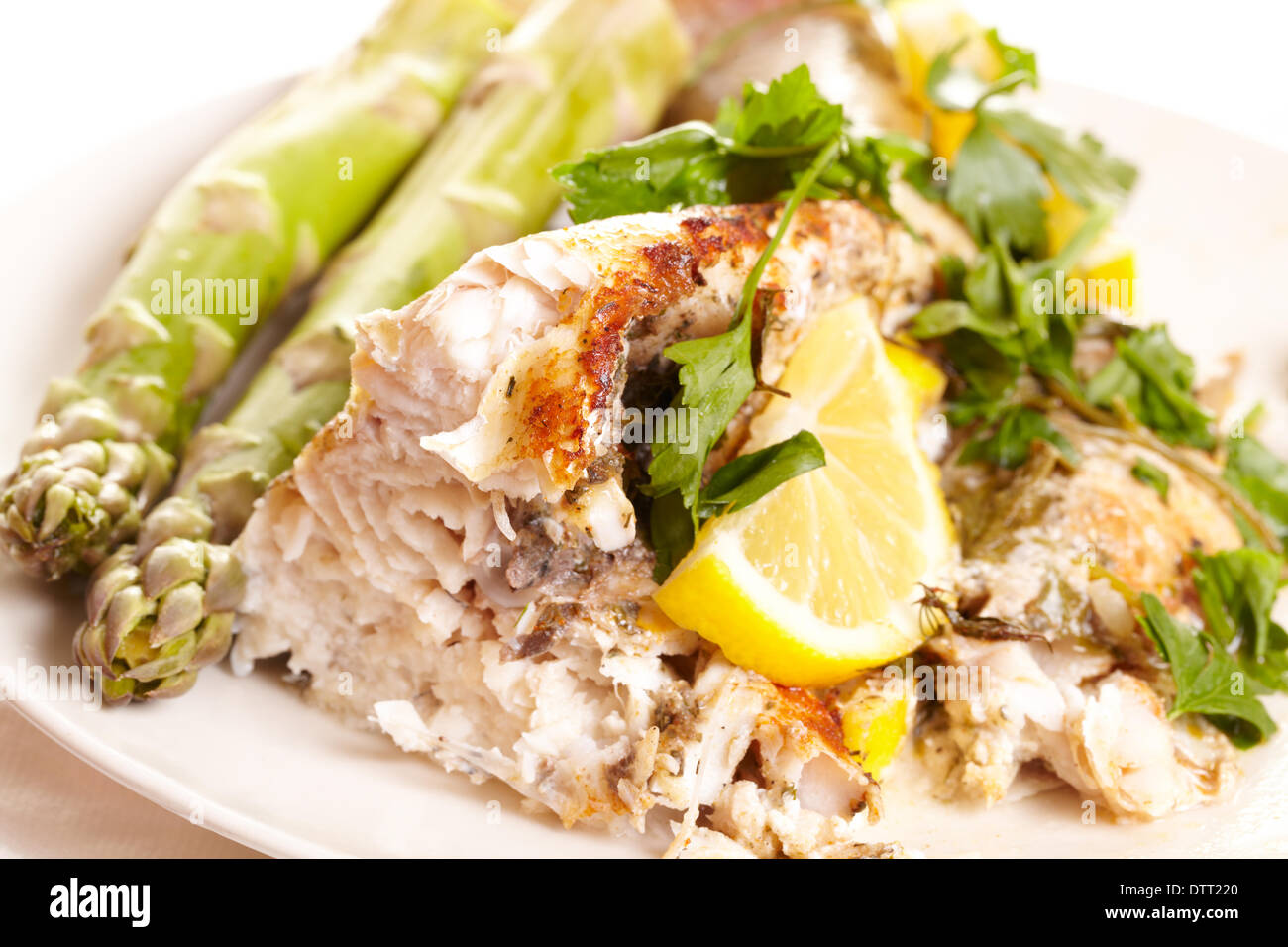 Zander gericht -Fotos und -Bildmaterial in hoher Auflösung – Alamy