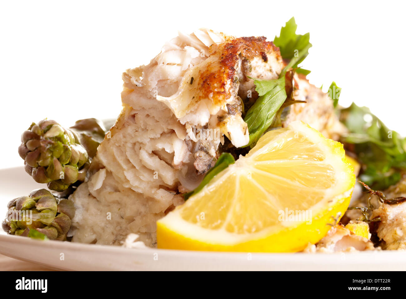 Zander gericht -Fotos und -Bildmaterial in hoher Auflösung – Alamy