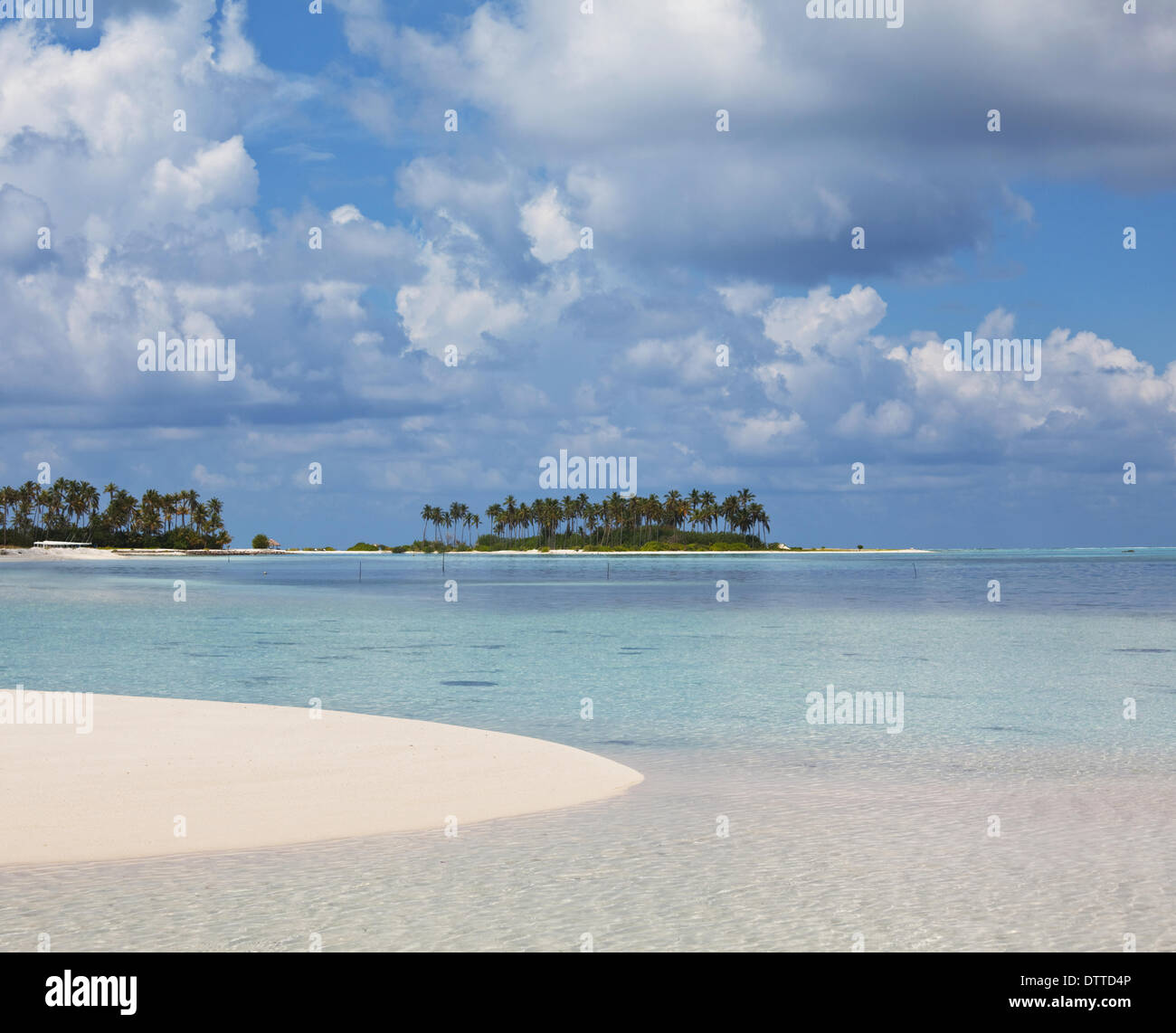 Malediven safari -Fotos und -Bildmaterial in hoher Auflösung – Alamy