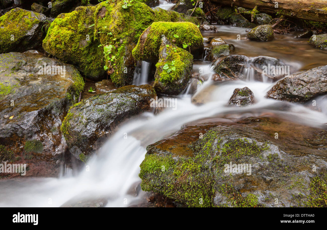 Aqua antrieb -Fotos und -Bildmaterial in hoher Auflösung – Alamy