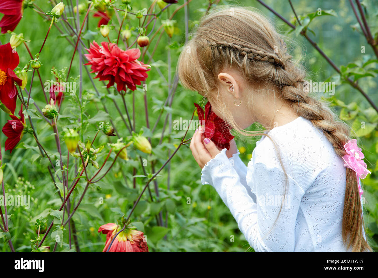 Kind im blumengarten -Fotos und -Bildmaterial in hoher Auflösung – Alamy