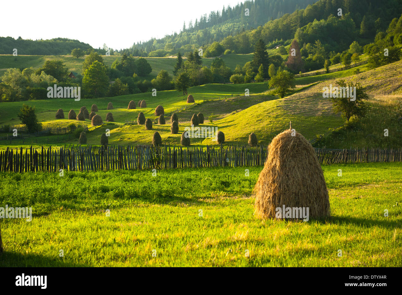 Landschaft in Bukowina Stockfotografie - Alamy