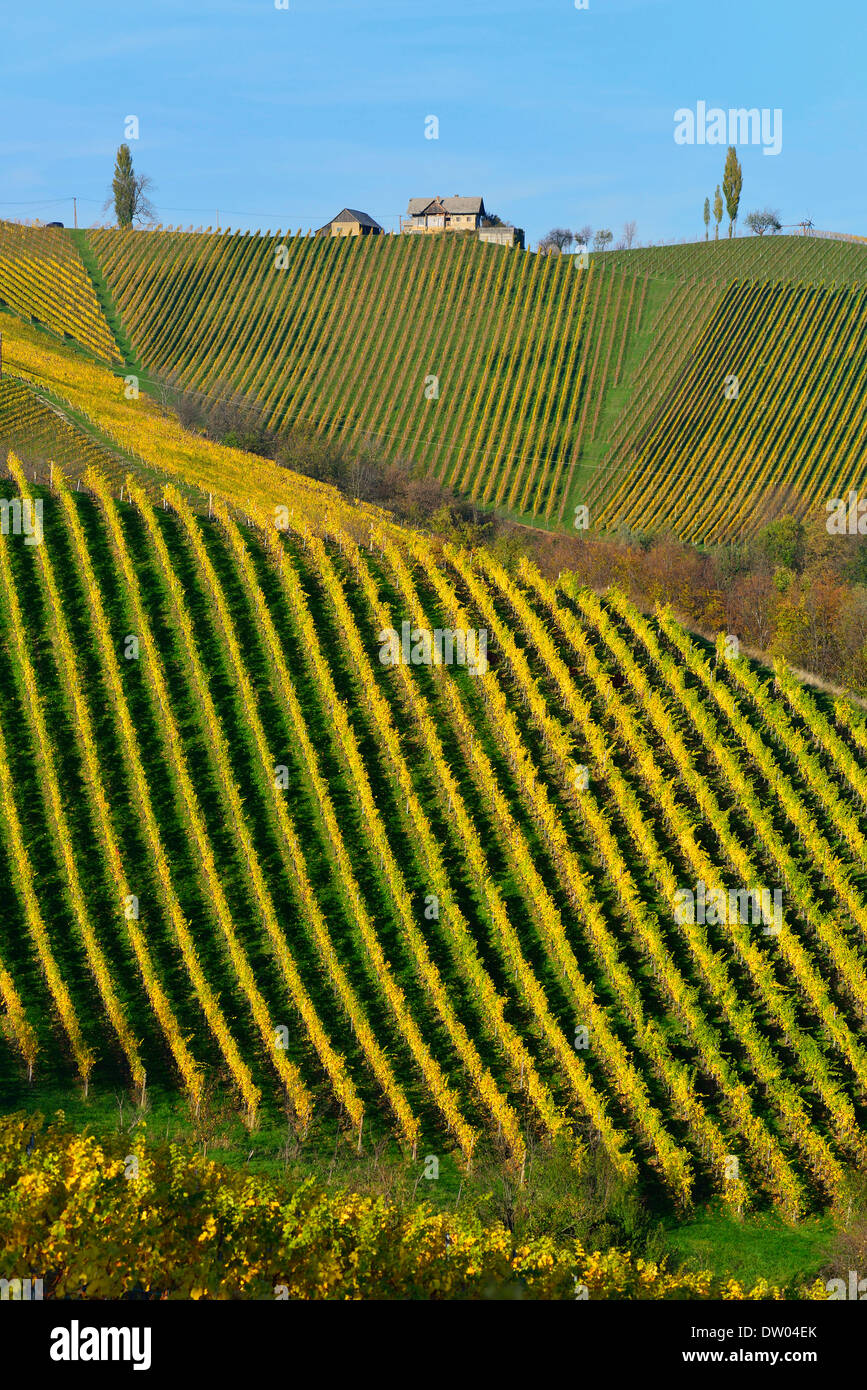 Steirisches weinland -Fotos und -Bildmaterial in hoher Auflösung – Alamy