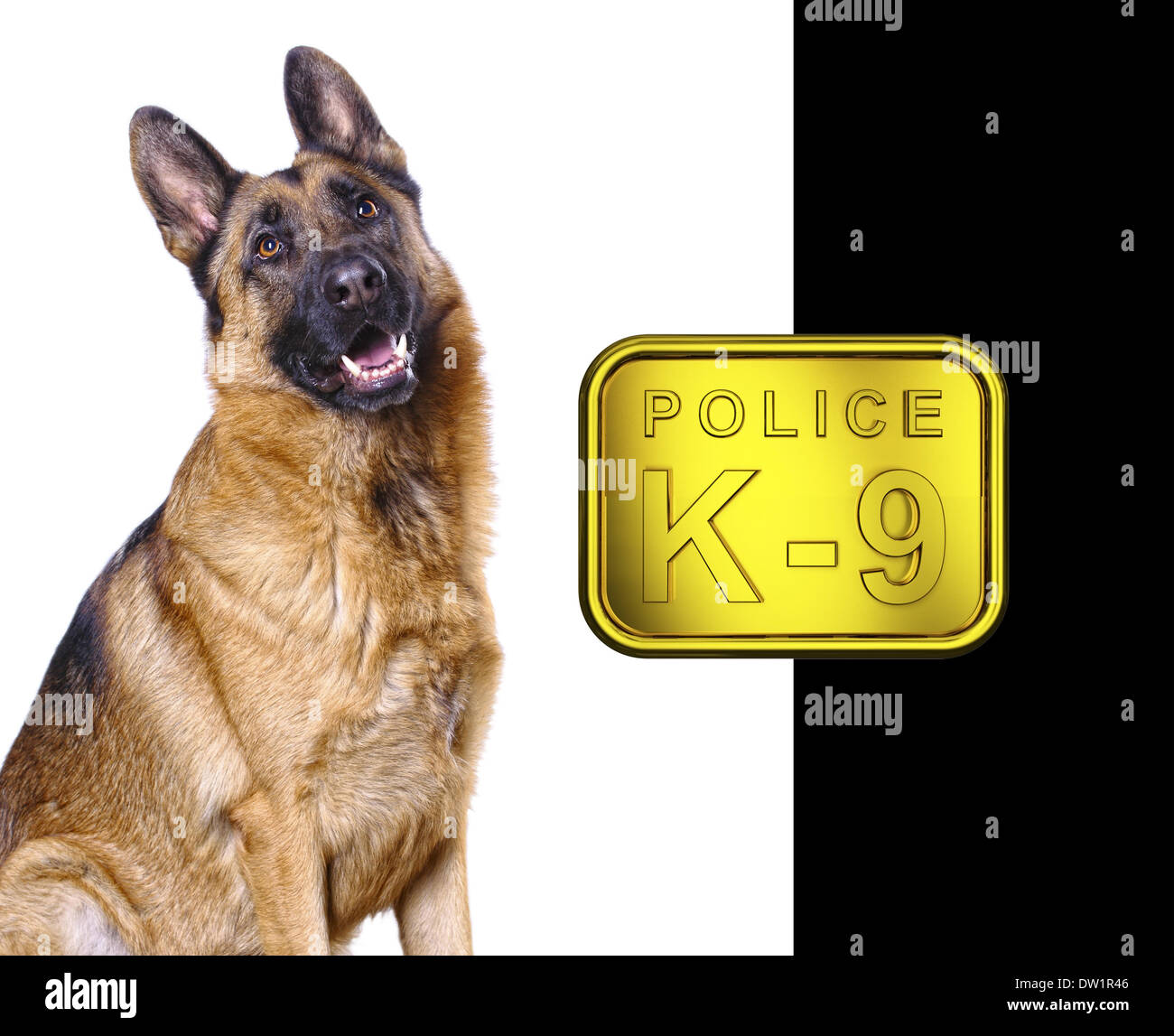 K9 schutz -Fotos und -Bildmaterial in hoher Auflösung – Alamy