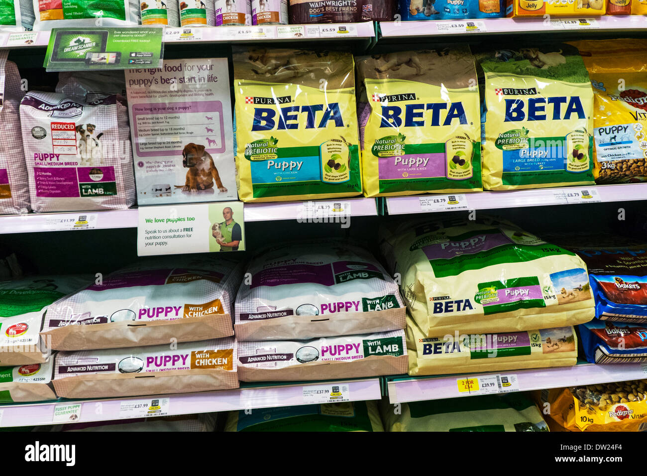 Purina beta -Fotos und -Bildmaterial in hoher Auflösung – Alamy