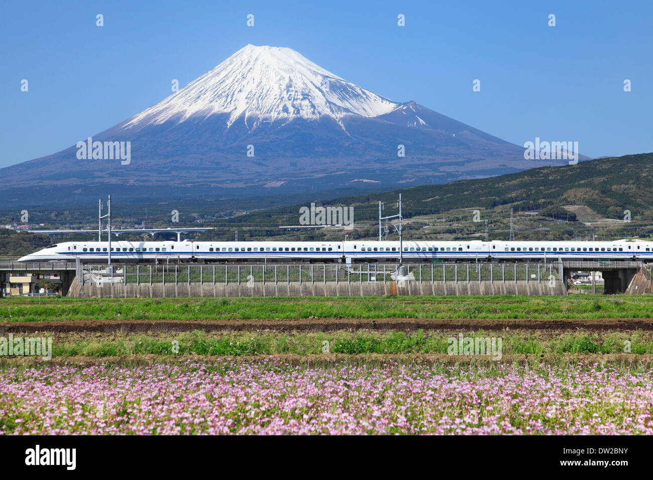Fujisan view express -Fotos und -Bildmaterial in hoher Auflösung – Alamy