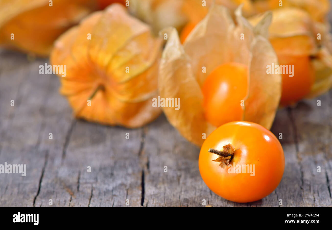 Physalis obststudio -Fotos und -Bildmaterial in hoher Auflösung – Alamy