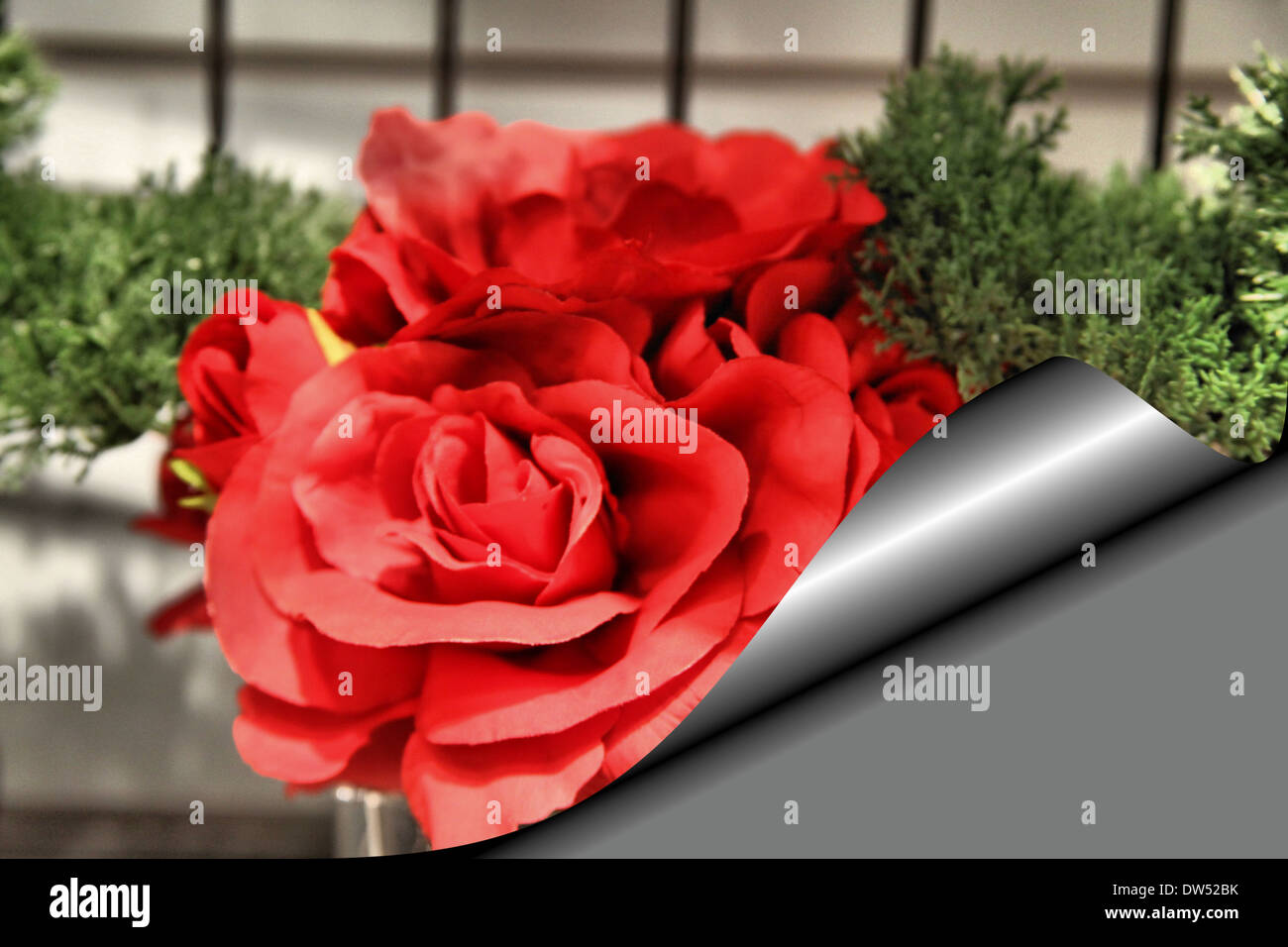 Rose corner -Fotos und -Bildmaterial in hoher Auflösung – Alamy