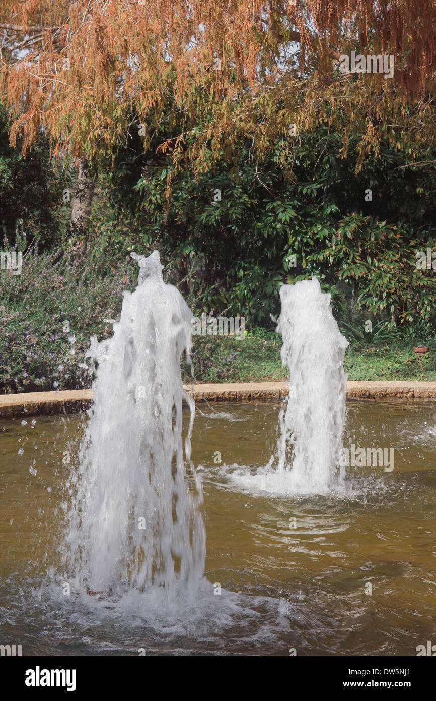 Brunnen mit wassergarten -Fotos und -Bildmaterial in hoher Auflösung ...