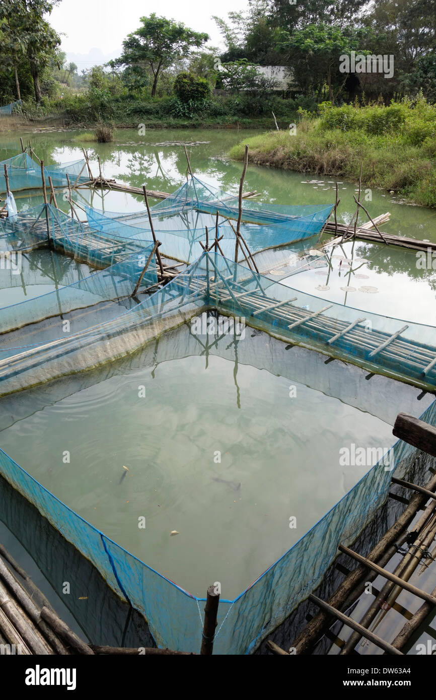 Aquaculture Fish Ponds Stockfotos und -bilder Kaufen - Alamy