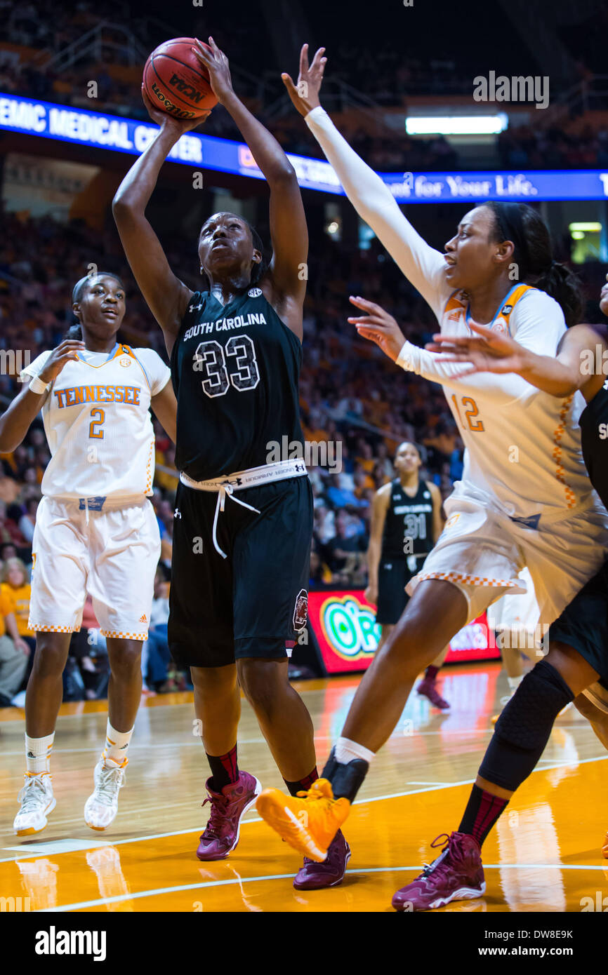 Knoxville, TN, USA. 2. März 2014. 2. März 2014:Elem Ibiam #33 von South ...