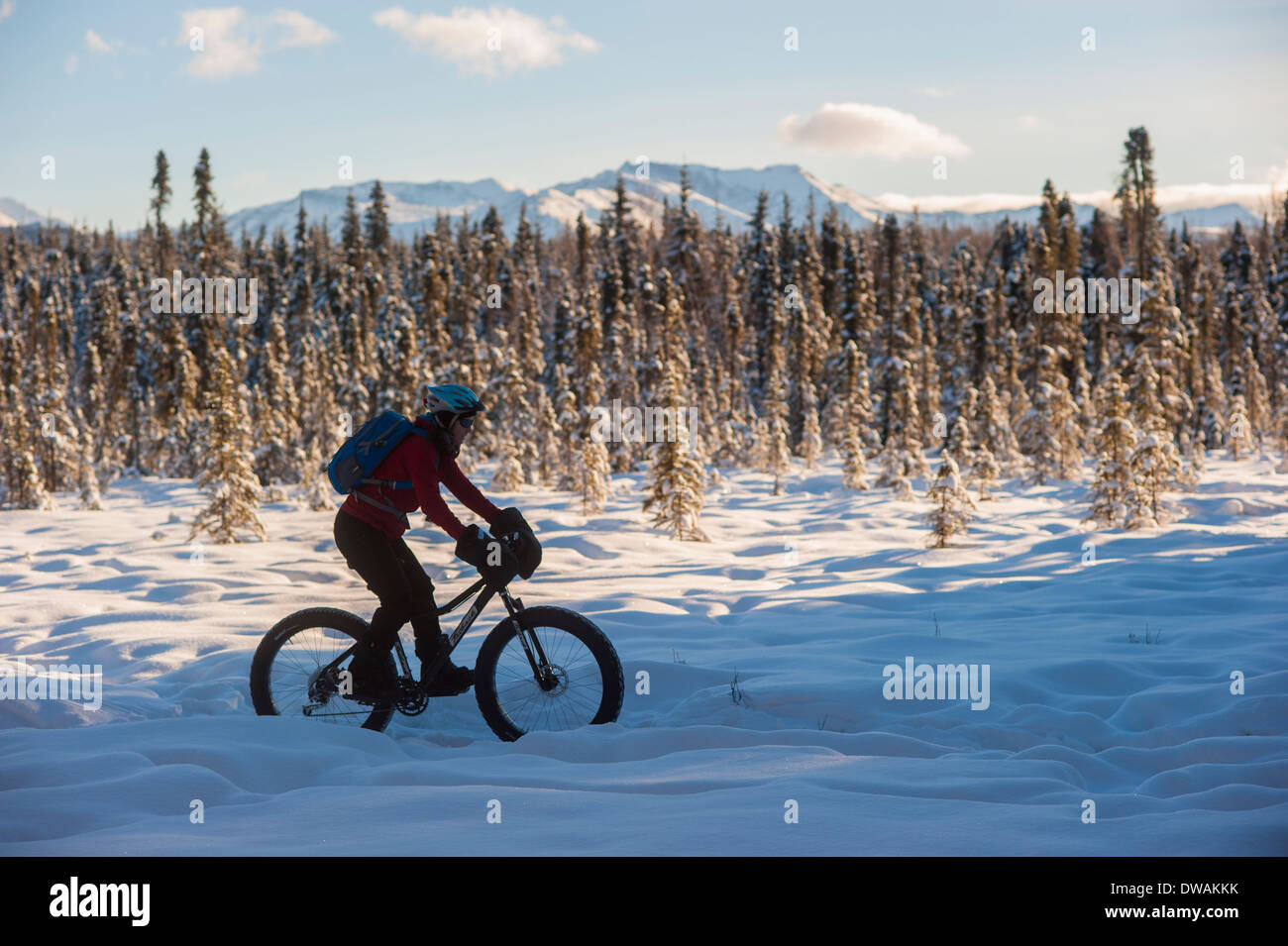 Fatback snow bike -Fotos und -Bildmaterial in hoher Auflösung – Alamy