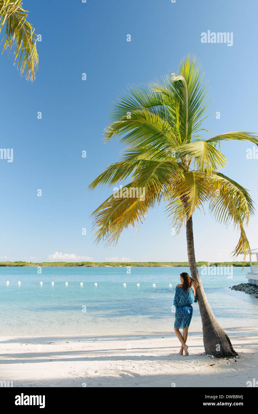 Westindische Inseln Stockfotos und -bilder Kaufen - Alamy