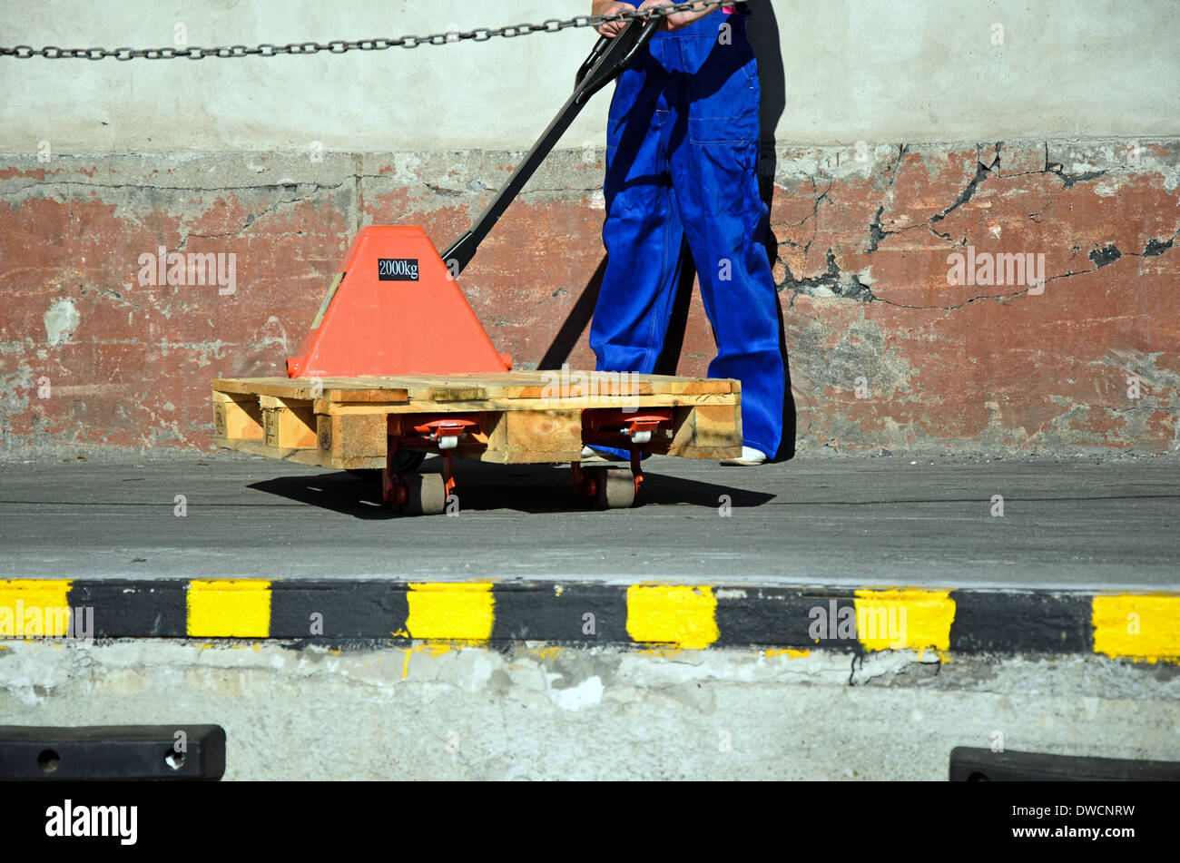 Bild von eine berufstätige Frau in den Laden-trolley Stockfotografie ...