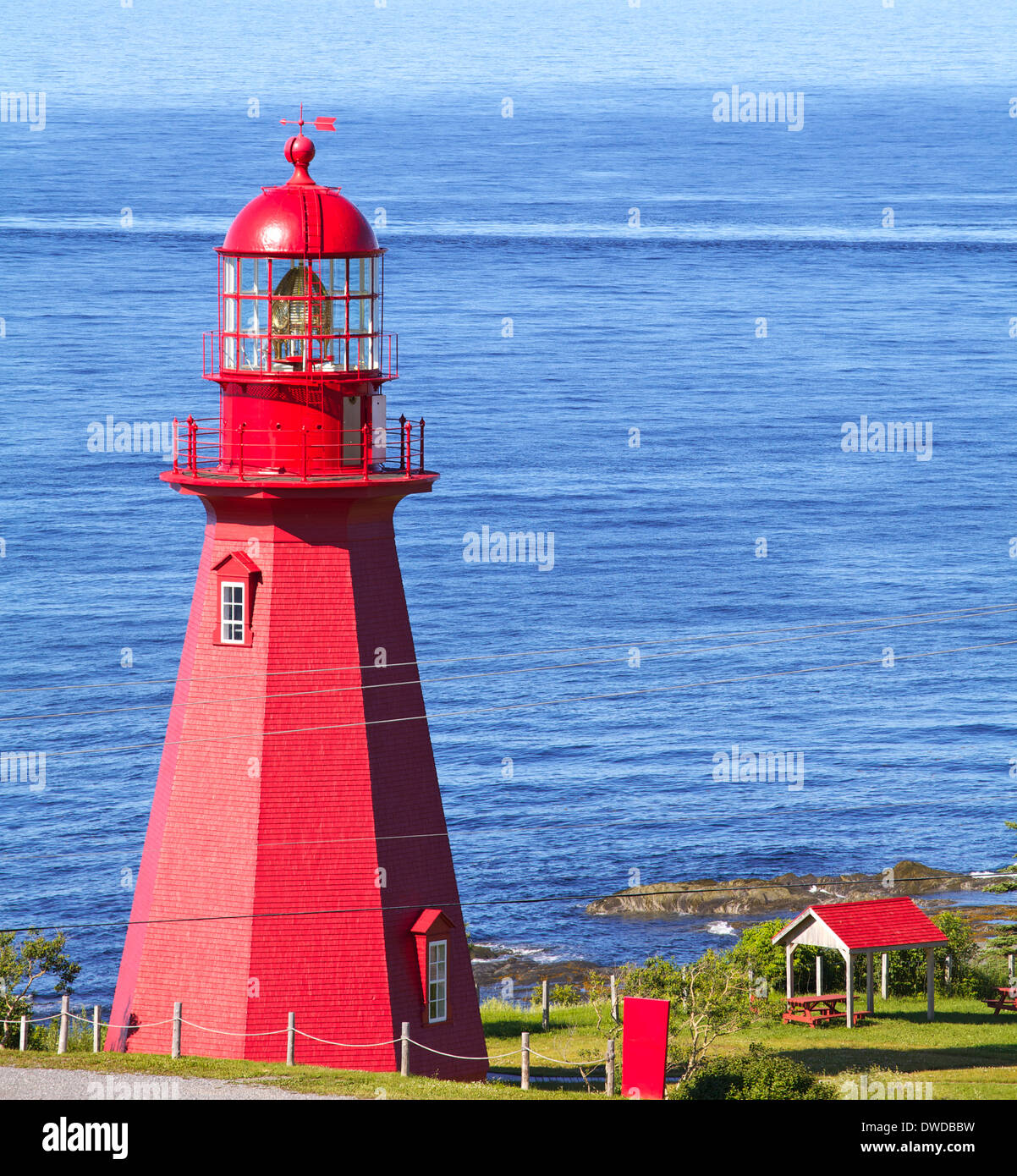 La martre quebec -Fotos und -Bildmaterial in hoher Auflösung – Alamy