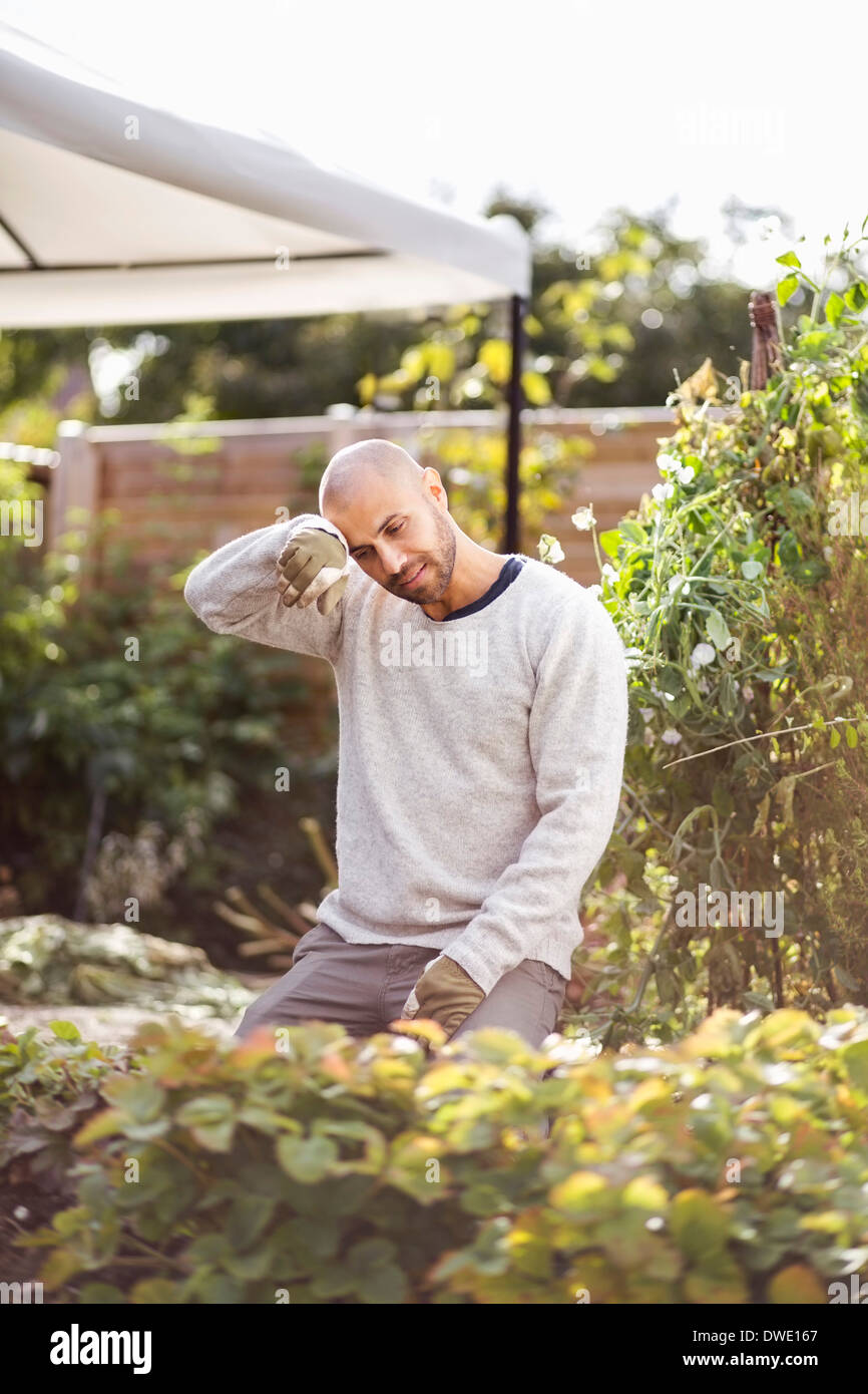 Knie zu stirn -Fotos und -Bildmaterial in hoher Auflösung – Alamy