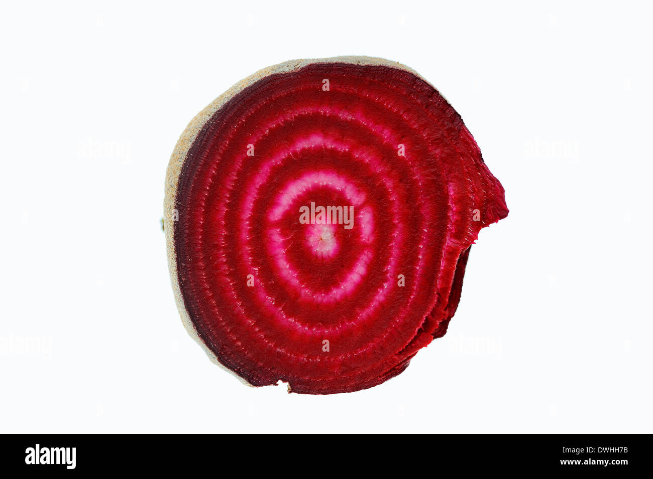 Rote Rüben, rote Beete, Tabelle Rüben oder Garten Rüben (Beta Vulgaris ...