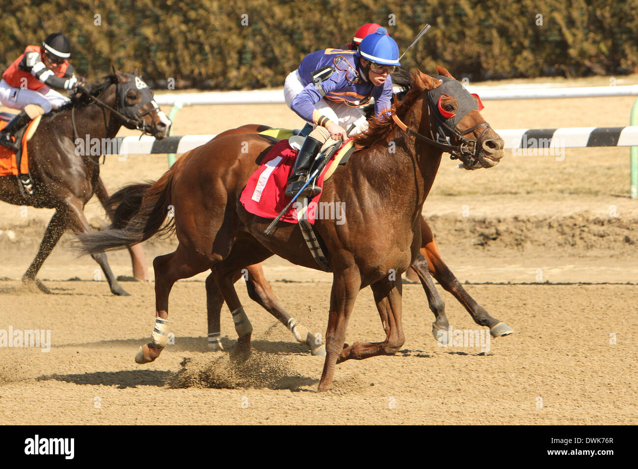 Tom narr -Fotos und -Bildmaterial in hoher Auflösung – Alamy