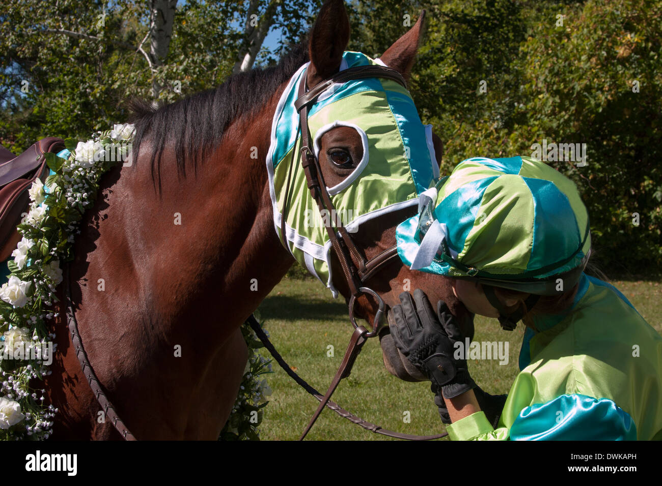 Winning horse -Fotos und -Bildmaterial in hoher Auflösung – Alamy