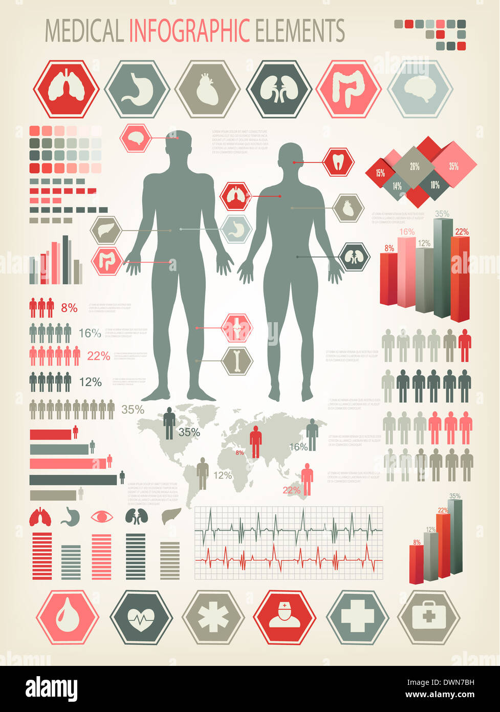 Medizinische Infografiken Elemente. Menschlichen Körper mit inneren ...