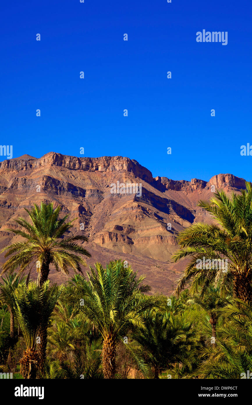 Landschaft bei Tamnougalt, Marokko, Nordafrika Stockfotografie - Alamy