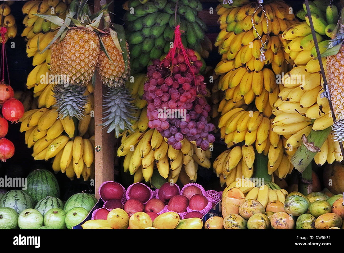 Sri lanka kandy market fruit -Fotos und -Bildmaterial in hoher ...