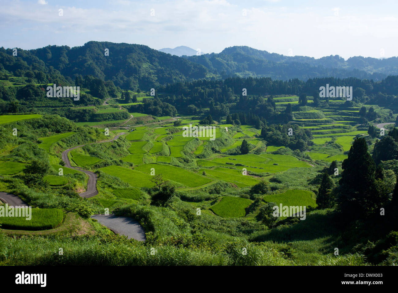 Terraced rice paddies -Fotos und -Bildmaterial in hoher Auflösung – Alamy