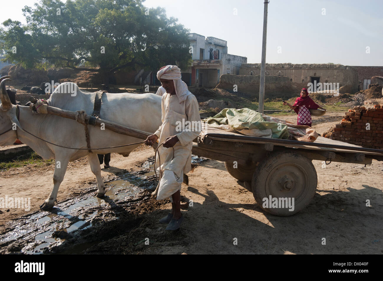 Bauer, der den karren zieht -Fotos und -Bildmaterial in hoher Auflösung ...