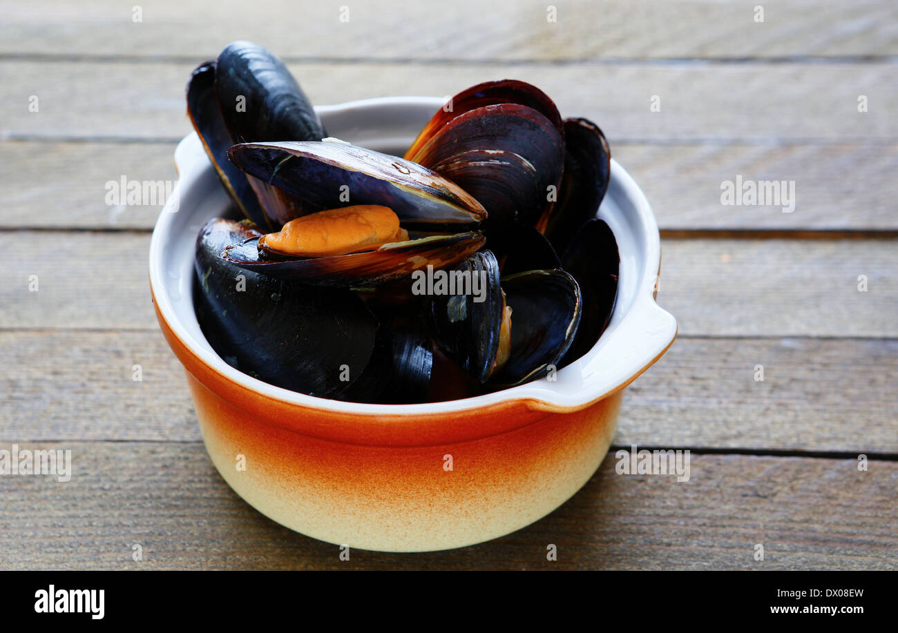 Salzwasser muscheln -Fotos und -Bildmaterial in hoher Auflösung – Alamy