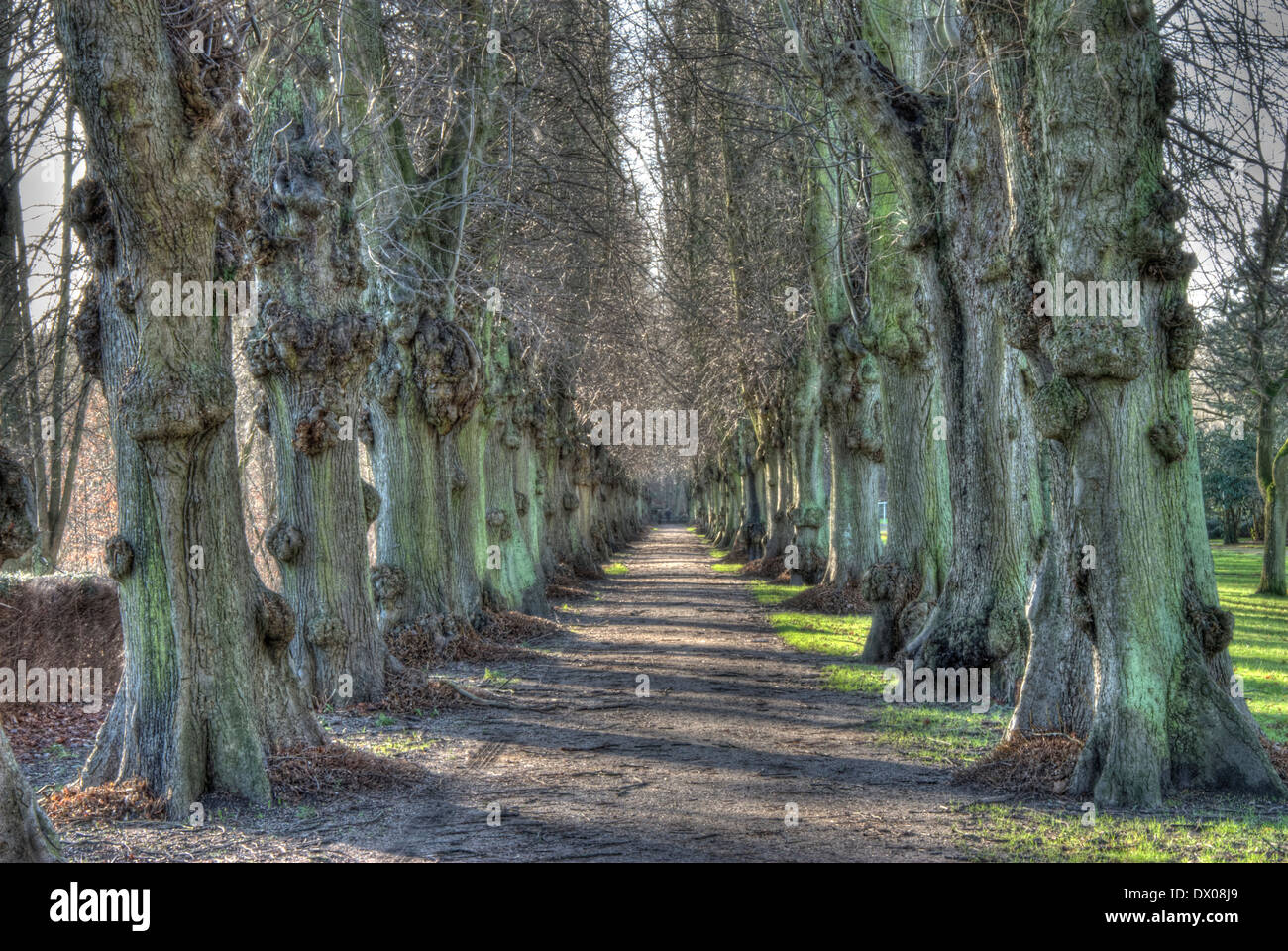 Hermosa allee Stockfotos und -bilder Kaufen - Alamy