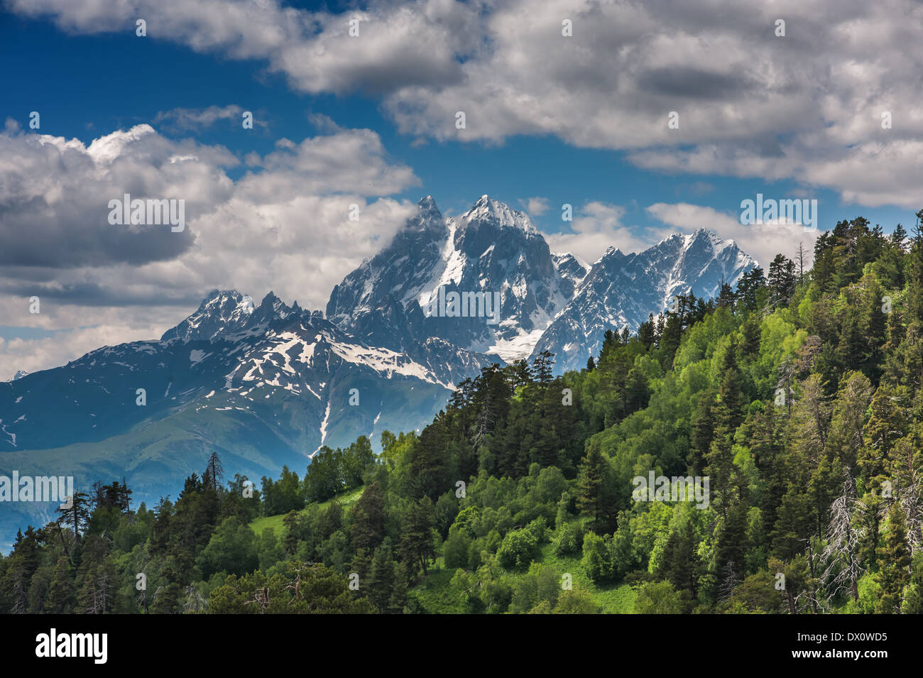 The caucasus -Fotos und -Bildmaterial in hoher Auflösung – Alamy