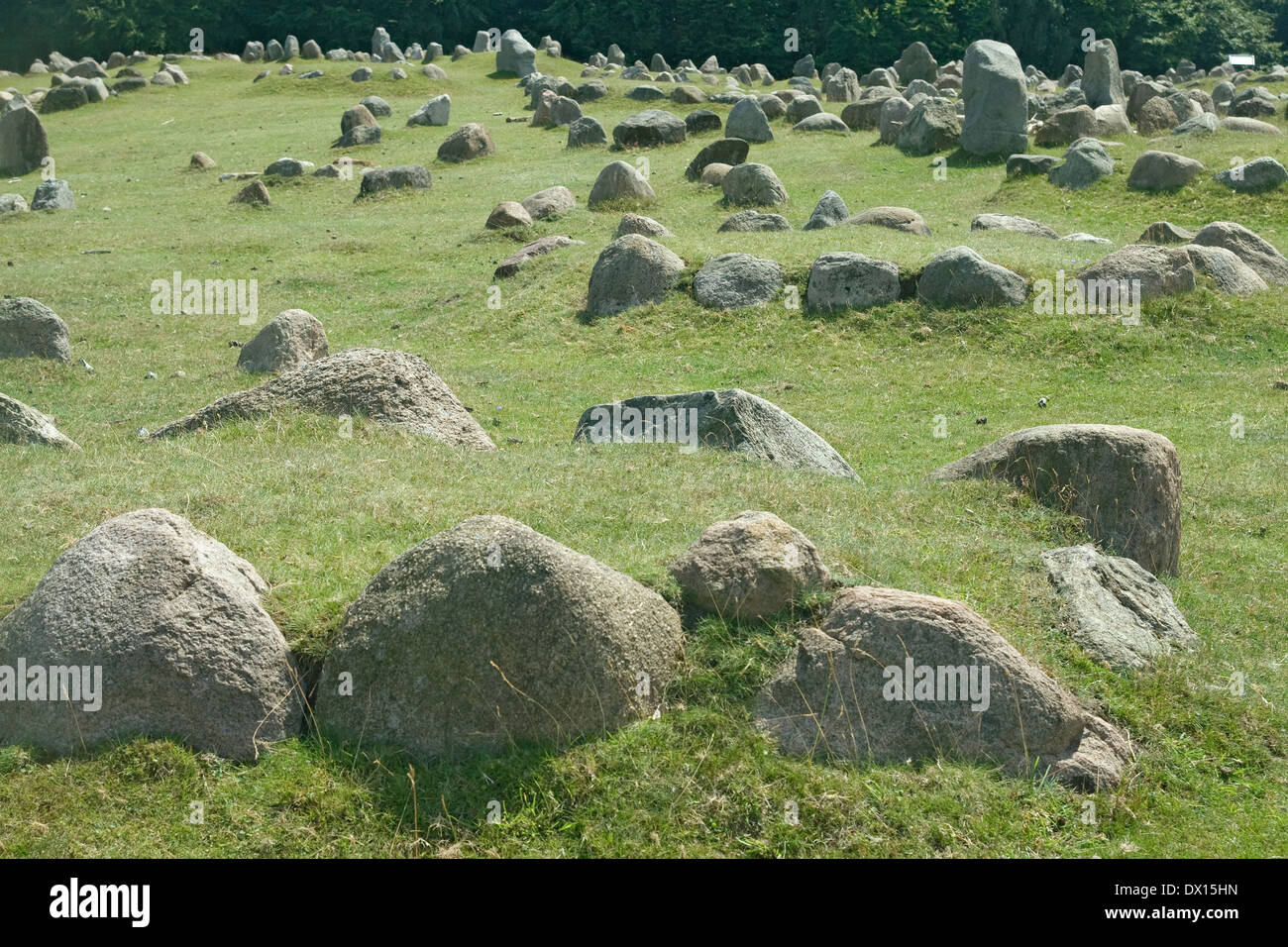 Viking cemetery -Fotos und -Bildmaterial in hoher Auflösung – Alamy