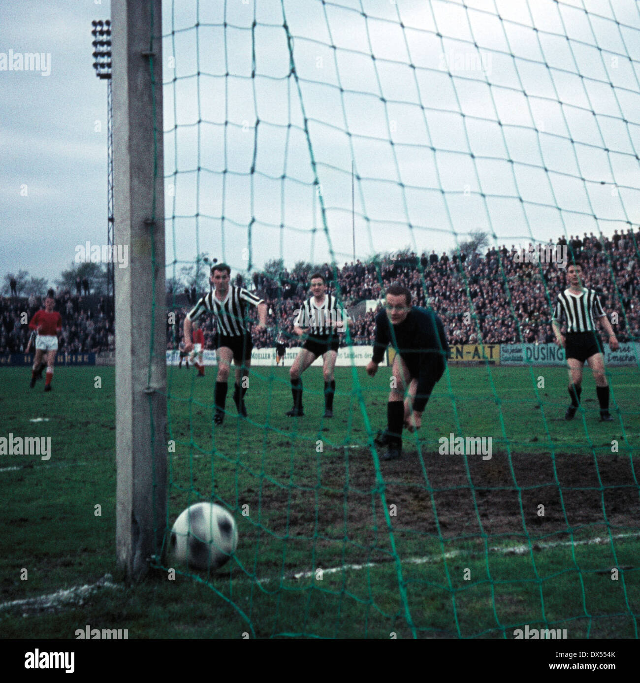 Eckhard hermann -Fotos und -Bildmaterial in hoher Auflösung – Alamy